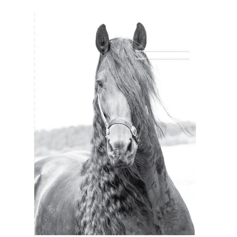 Horse Stationery - Horse Pens and Pads | Filly and Co