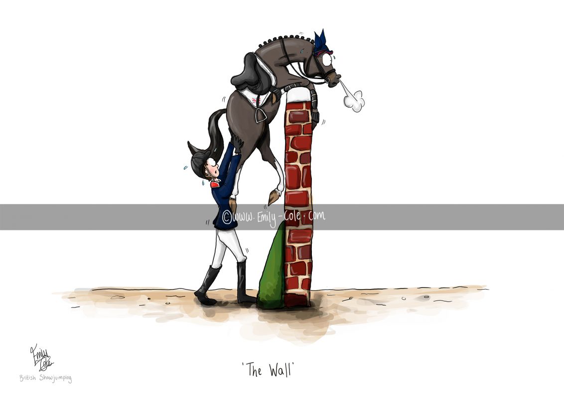 Complete collection set of 36 Funny Riding Postcards - Filly and Co ...